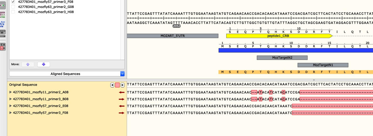 Index of flybase/associated_files/